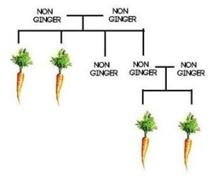 10 things parents of redheads didn’t know would happen when they had a ...