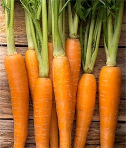 How To Use Carrots To Boost Red Hair (Yes, Really) | Ginger Parrot