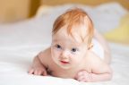 The Best Names For Ginger Babies | Ginger Parrot