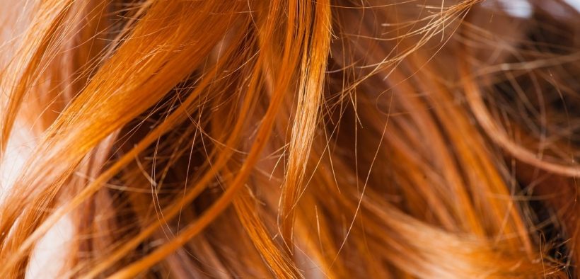 Redhead-Friendly Music | Music by Ginger Musicians | Ginger Parrot