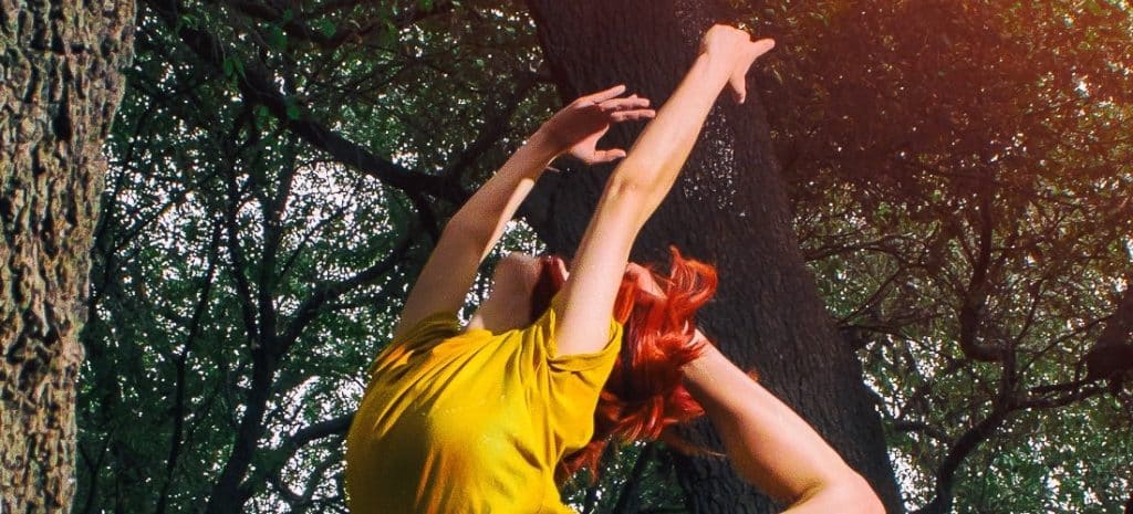 Ginger Strictly Come Dancing Contestants | Ginger Parrot