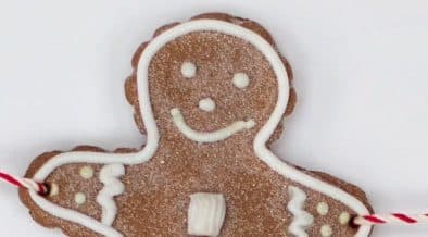 The full story of The Gingerbread Man – Ginger Parrot